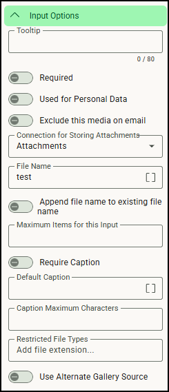Adding a Media Input to a Form